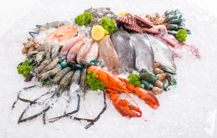 Lobster Fish - Culibel